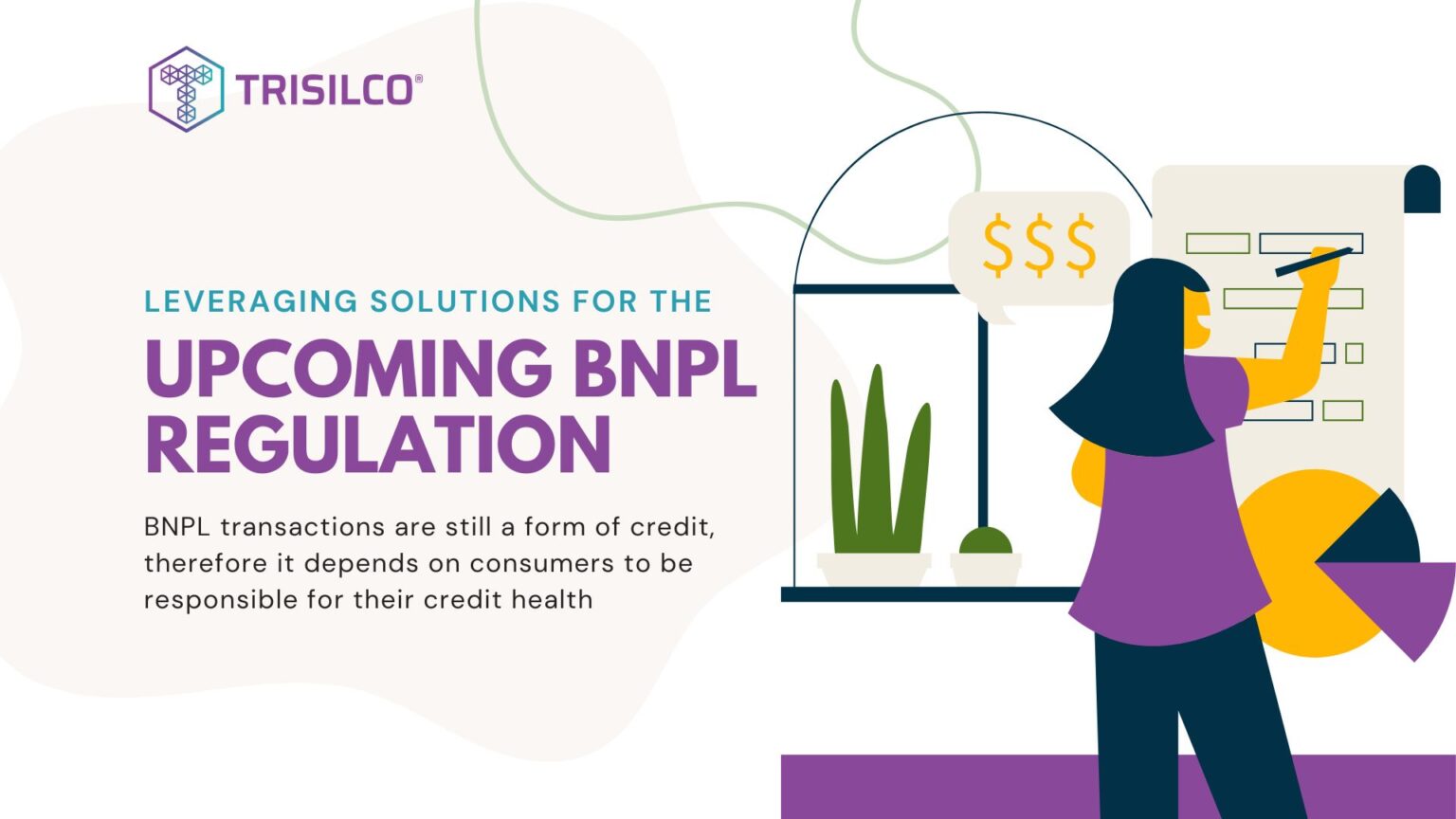 Leveraging Solutions for The Upcoming BNPL Regulation - Trisilco